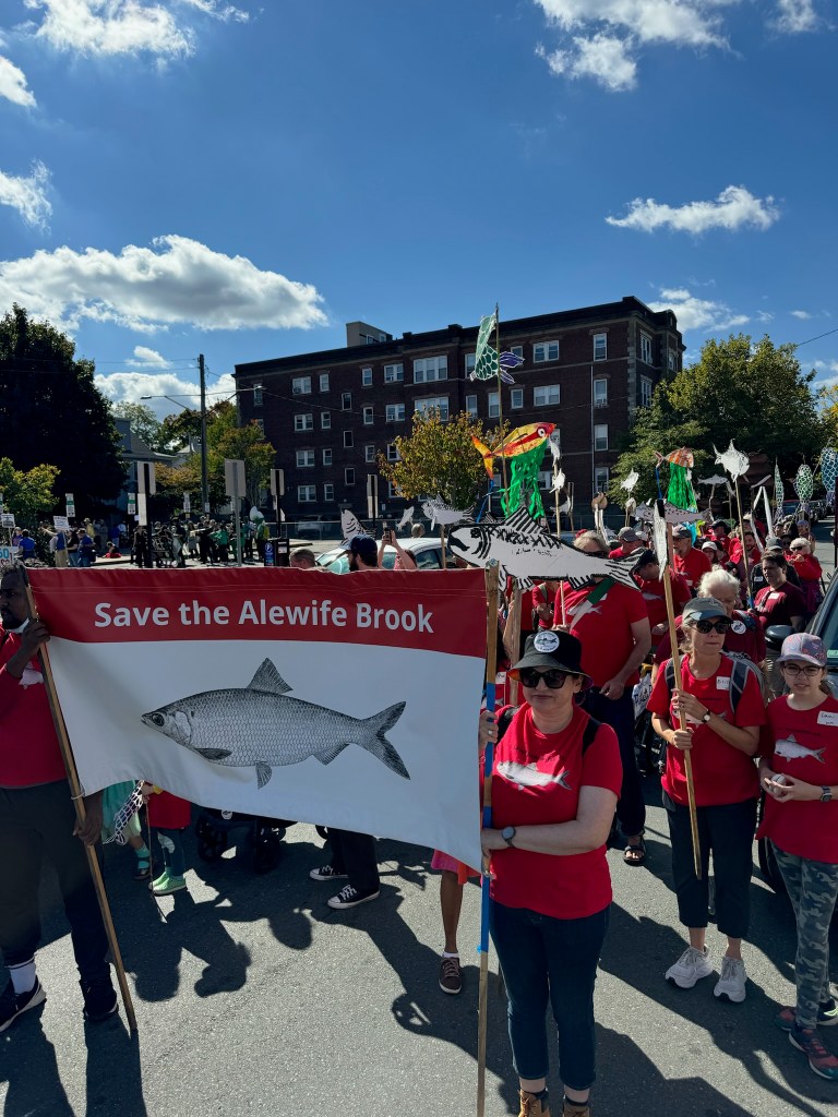 Big Splash at 2024 HONK! Parade – Save the Alewife Brook